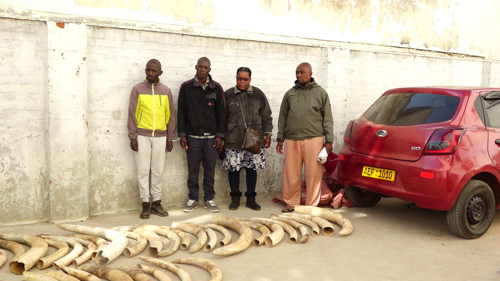 Four Remanded in Custody Over US$40,000 Ivory Bust - Zimba Wave News